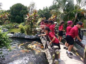 Desaru Fruit Farm: ATV, Fruit Tour, Herbs Garden & Mini Zoo