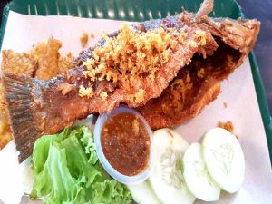 Desaru Food Guide: What To Eat In Desaru (Local Suggest)